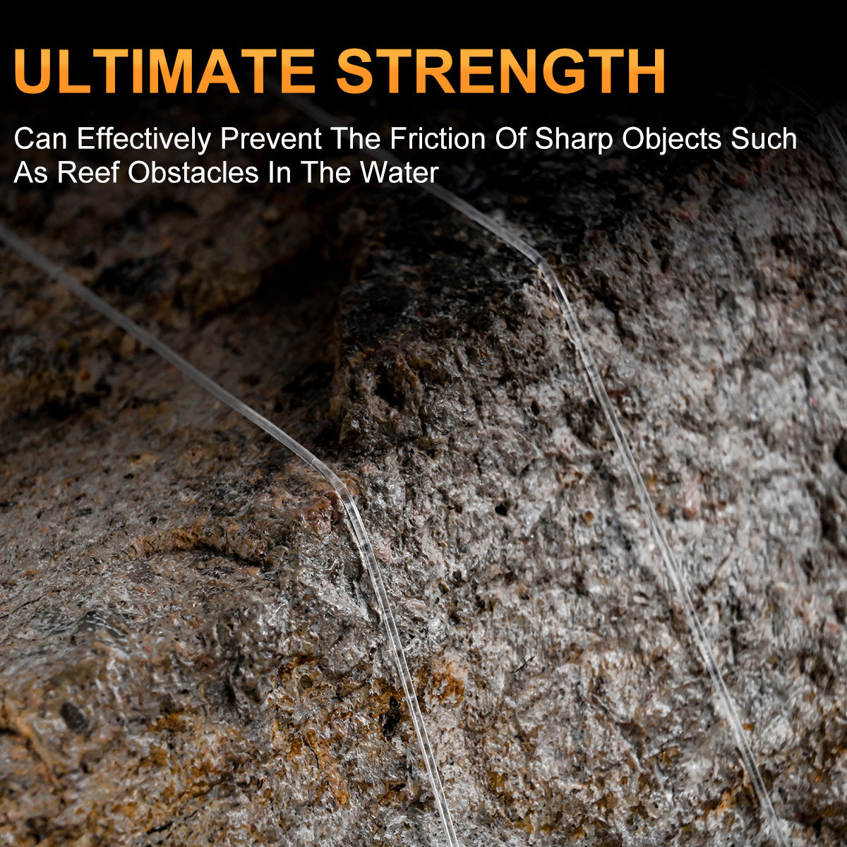 LEO FISHING 100% Fluorocarbon Fishing Line Leader - 100M Abrasion Res ...